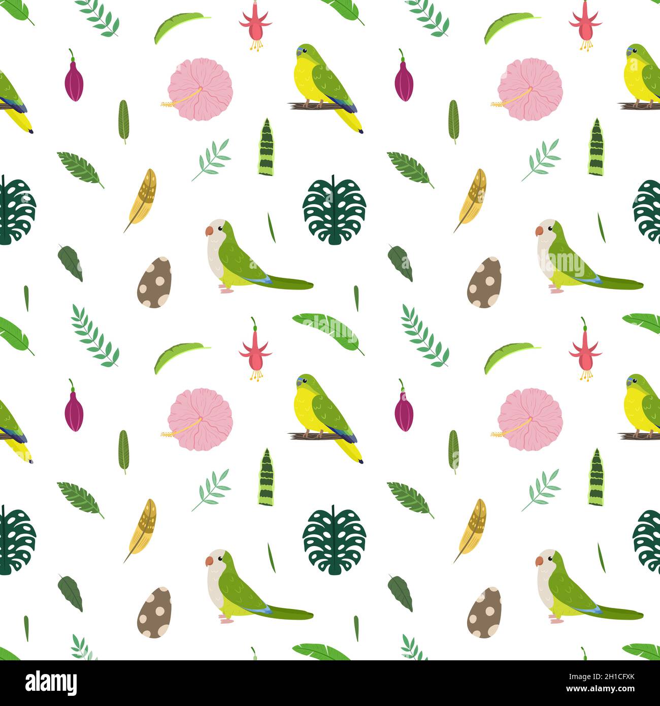 Seamless pattern with monk parakeet and grass parrot Neophema, tropical ...