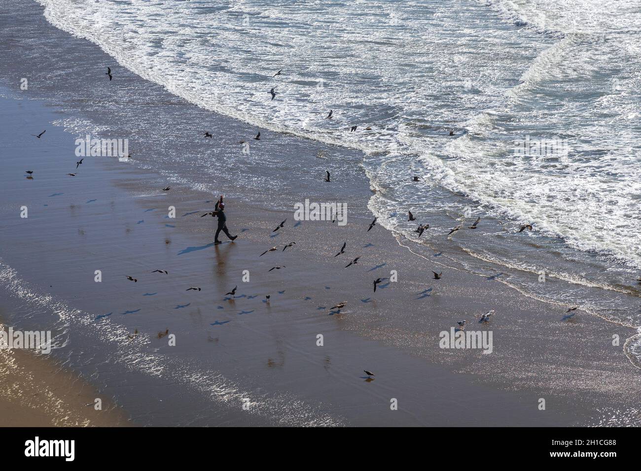 Aerial view over people and seabirds at Ocean beach fire pits of ...