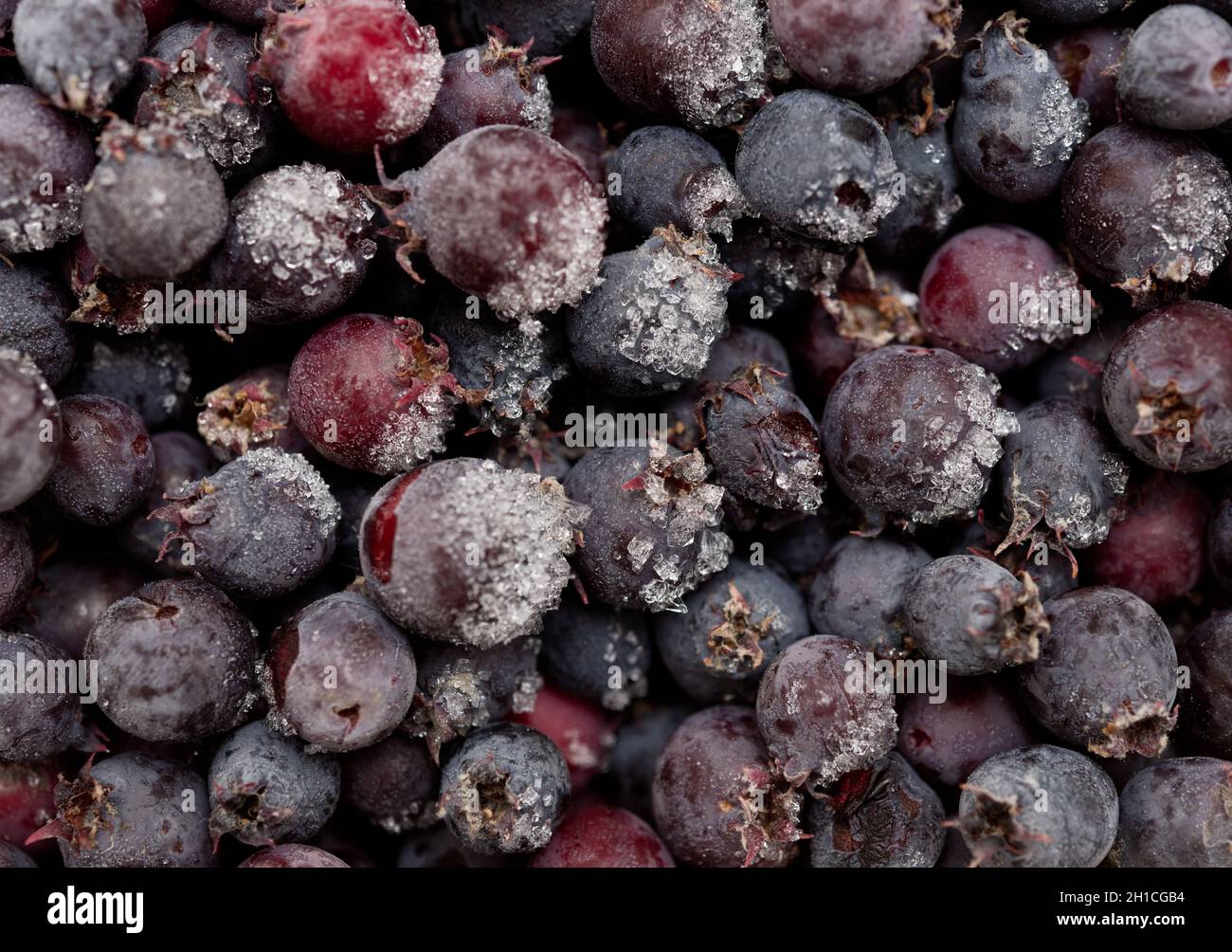 Frozen juneberry as a background Stock Photo - Alamy