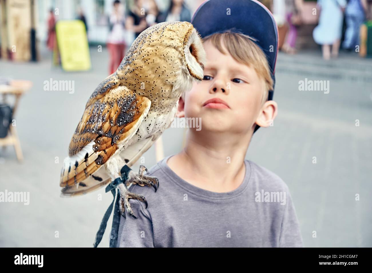 Owl tshirt hi-res stock photography and images - Alamy