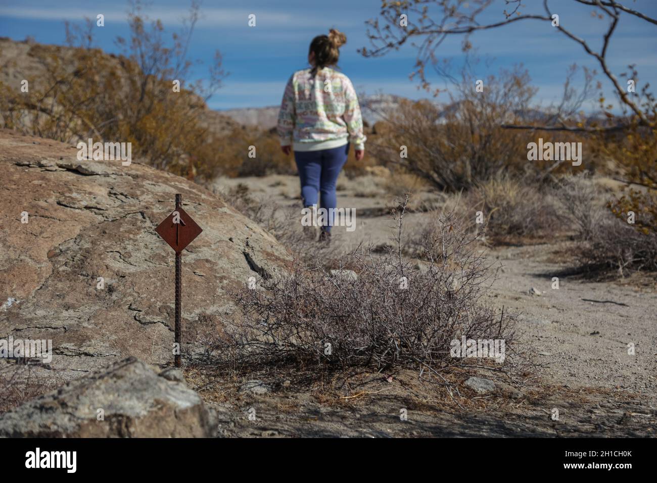 Ash springs rock art site hi-res stock photography and images - Alamy