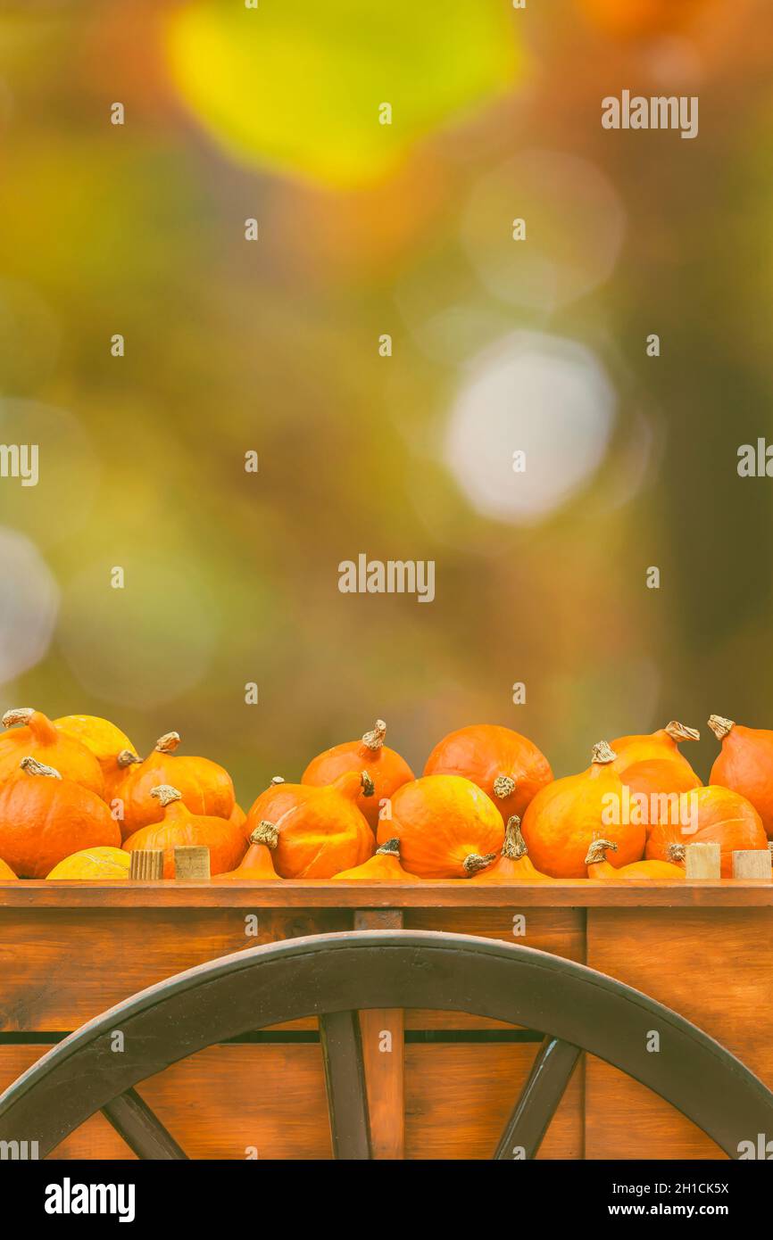 Ancient cart wheel hi-res stock photography and images - Alamy