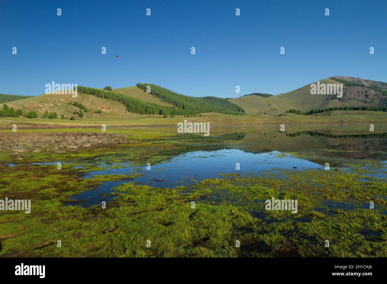 Naiman nuur national park hi-res stock photography and images - Alamy