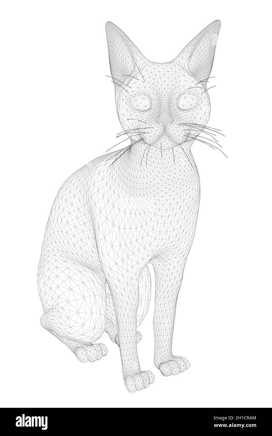 Sitting cat wireframe from black lines isolated on white background. 3D ...