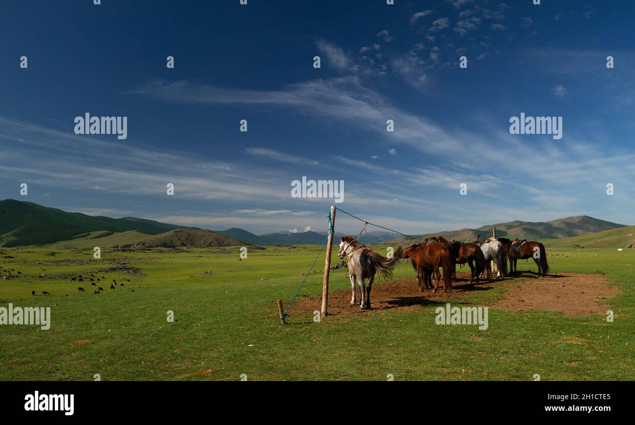 Naiman nuur national park hi-res stock photography and images - Alamy