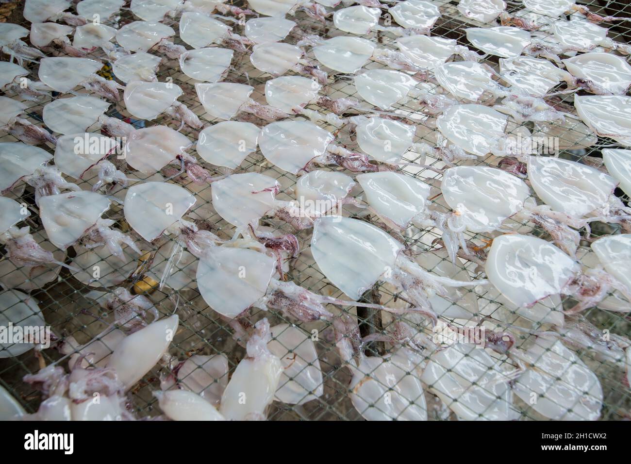 a dry seafood production in the fishing village of Sai Noi near the ...