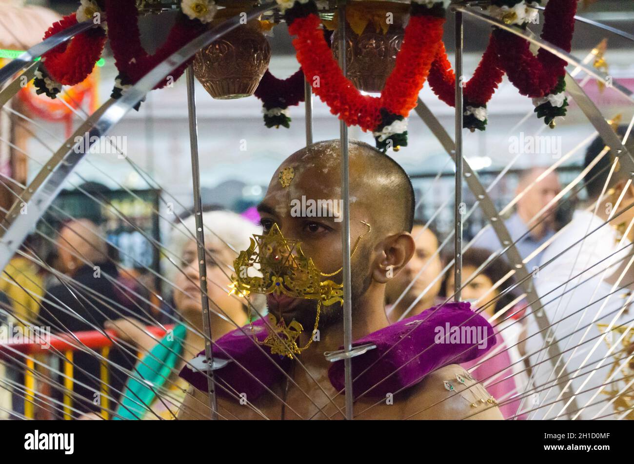 7 Feb 2012, Singapore: A male devotee carries a kavadi with face and ...