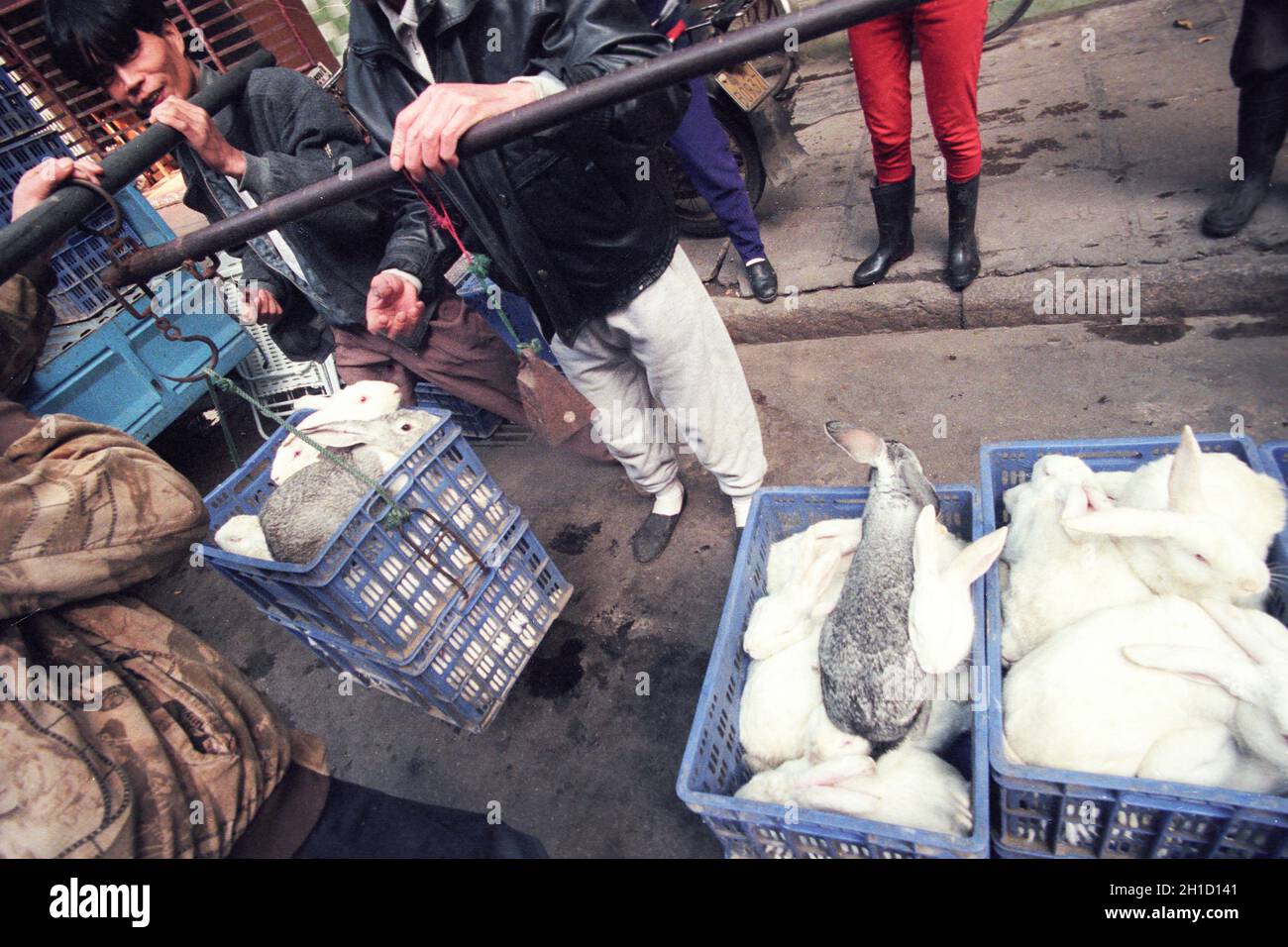 rabbit at the seafood and animal Market in the city of Guangzhou in the ...