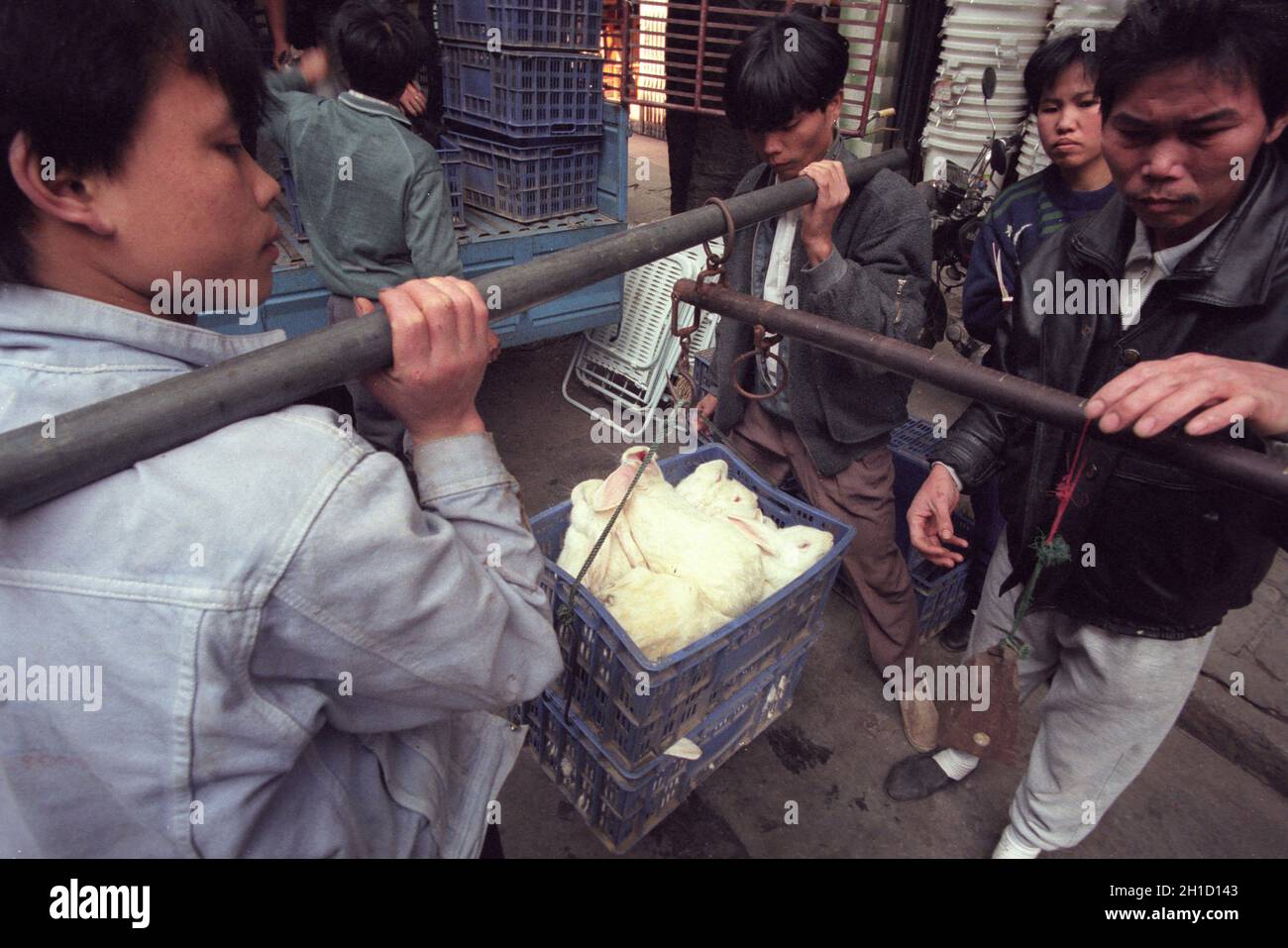 rabbit at the seafood and animal Market in the city of Guangzhou in the ...