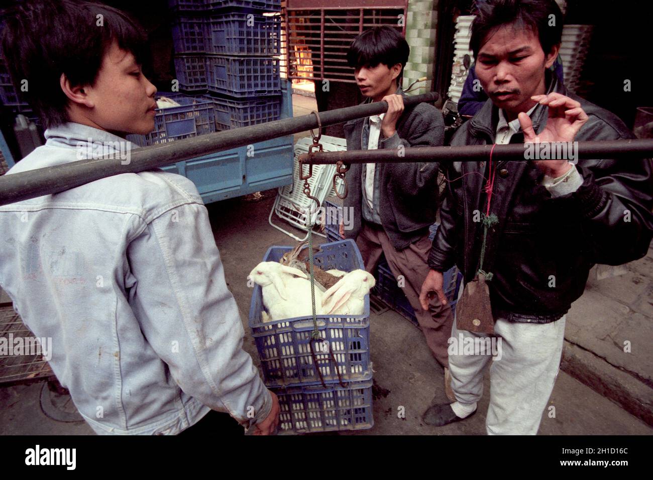rabbit at the seafood and animal Market in the city of Guangzhou in the ...