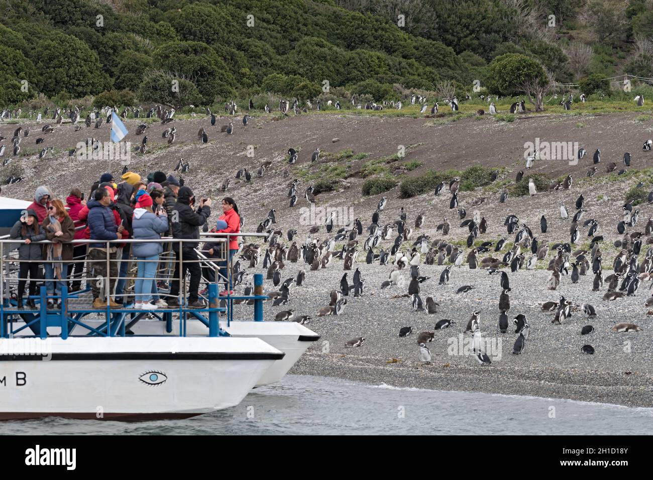 Beagle islands nature reserve hi-res stock photography and images - Alamy