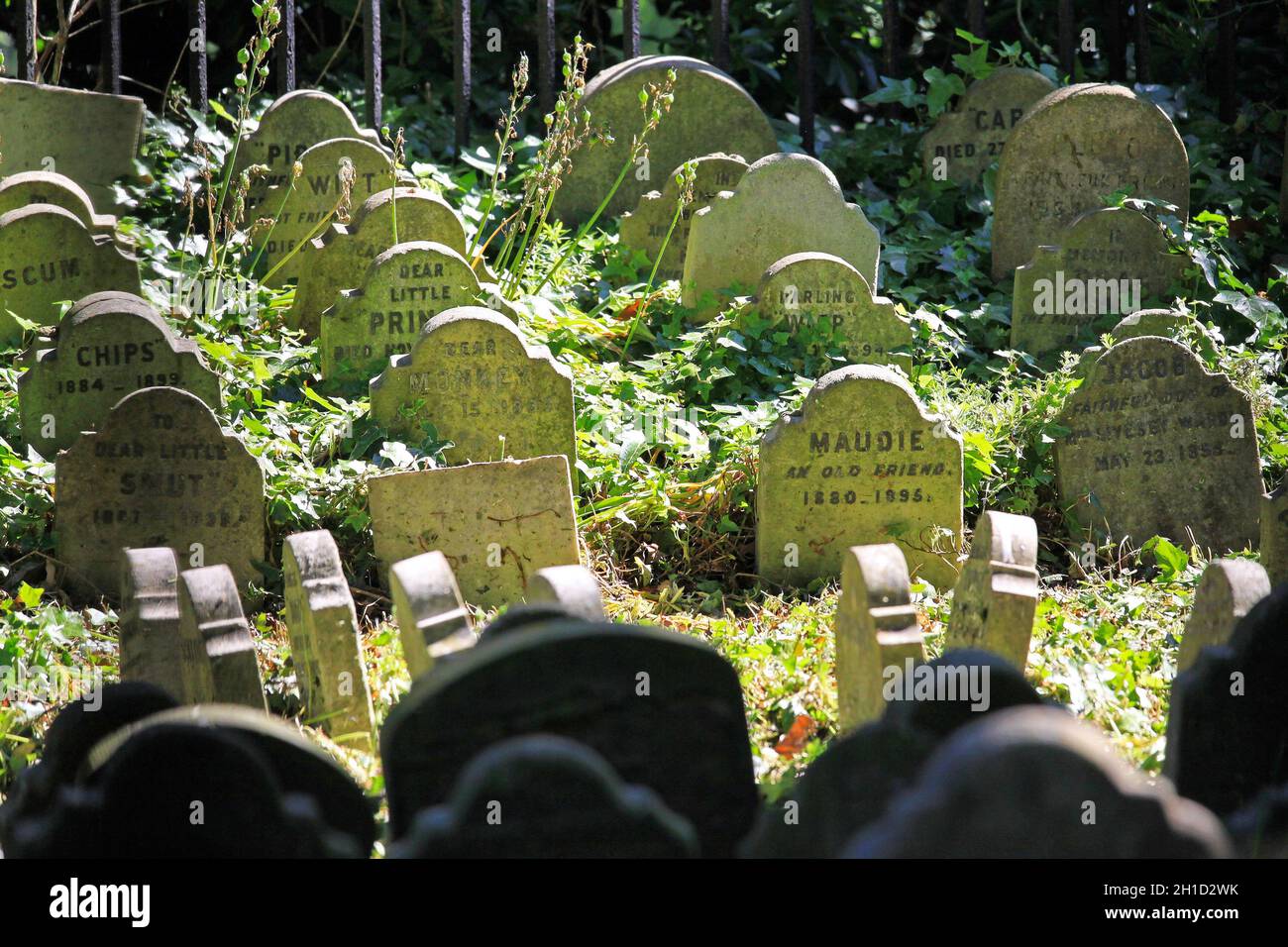 LONDON, UNITED KINGDOM - MAY 29: Pet Graveyard on MAY 29, 2009. Animal ...