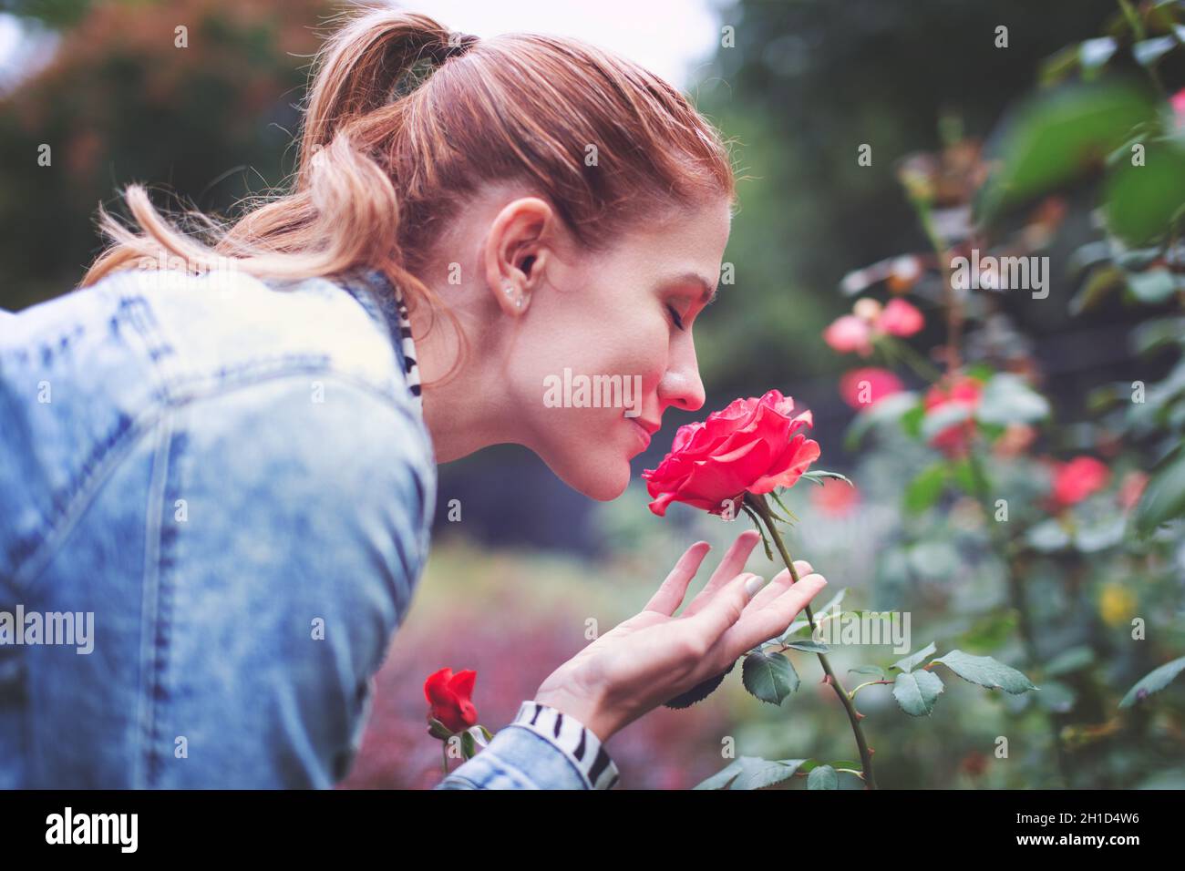 Smelling rose young hi-res stock photography and images - Alamy