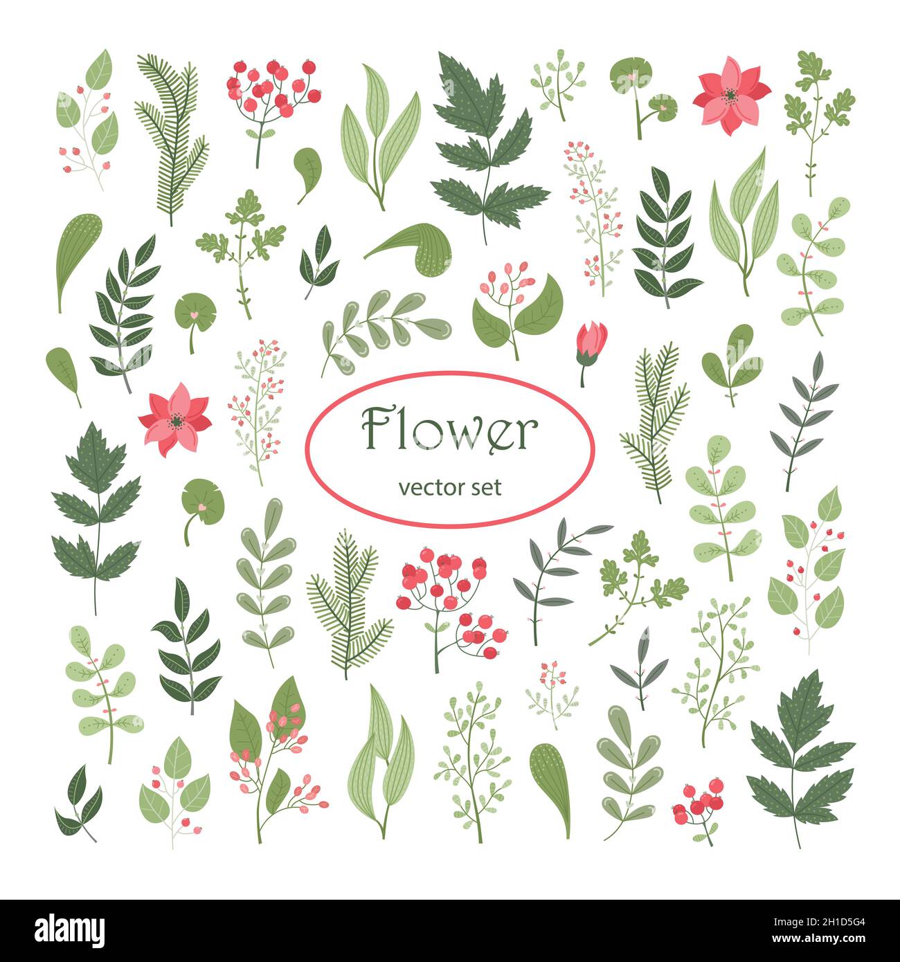 Vector floral set with plants and flowers Stock Vector Image & Art - Alamy