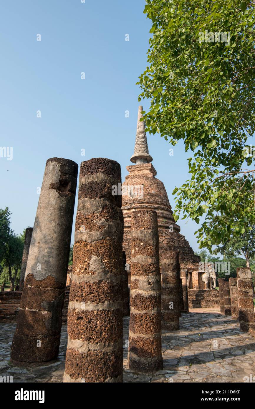 the Wat Chang Lom Temple in the Historical Park in Sukhothai in the ...