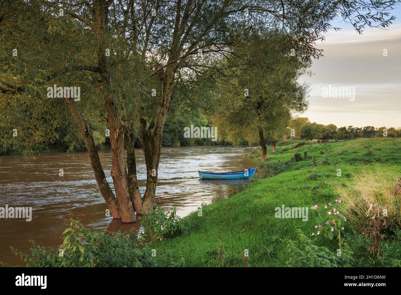 Elevated water level on the River Wye at Monmouth Stock Photo - Alamy