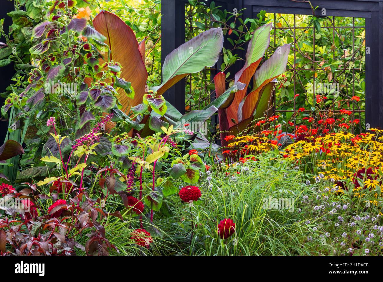 Garden container planting hot colours hi-res stock photography and ...