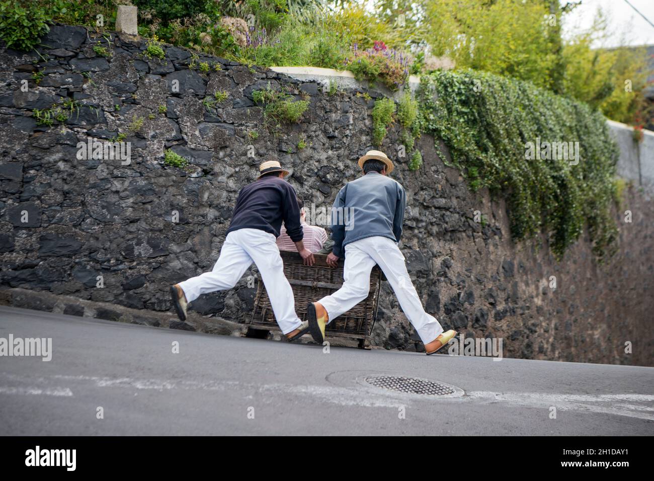 a traditional Monte sledge on the way from Monte to Funchal the city ...