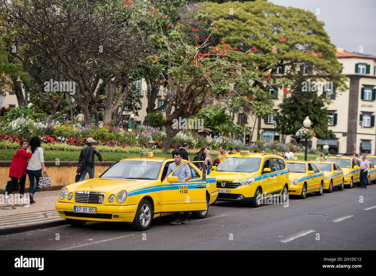 a taxi station at the avenida Arriaga in the city centre of Funchal on ...