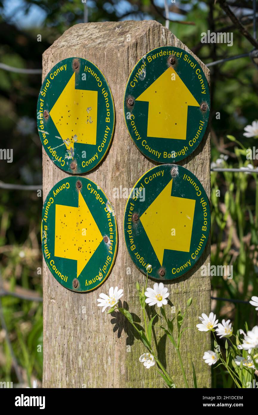 Direction information hi-res stock photography and images - Alamy