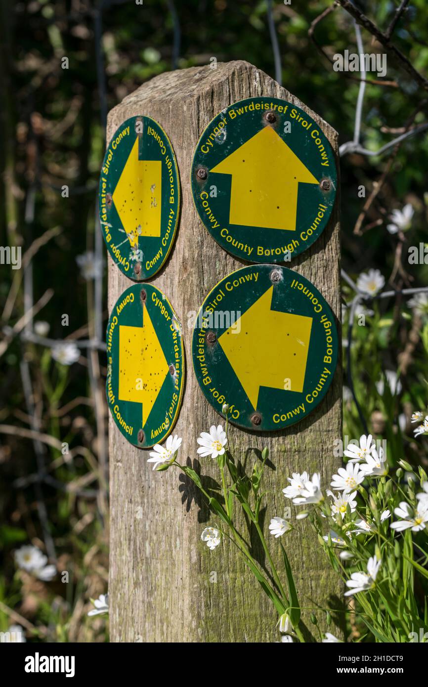 Conwy footpath direction marker sign Stock Photo - Alamy