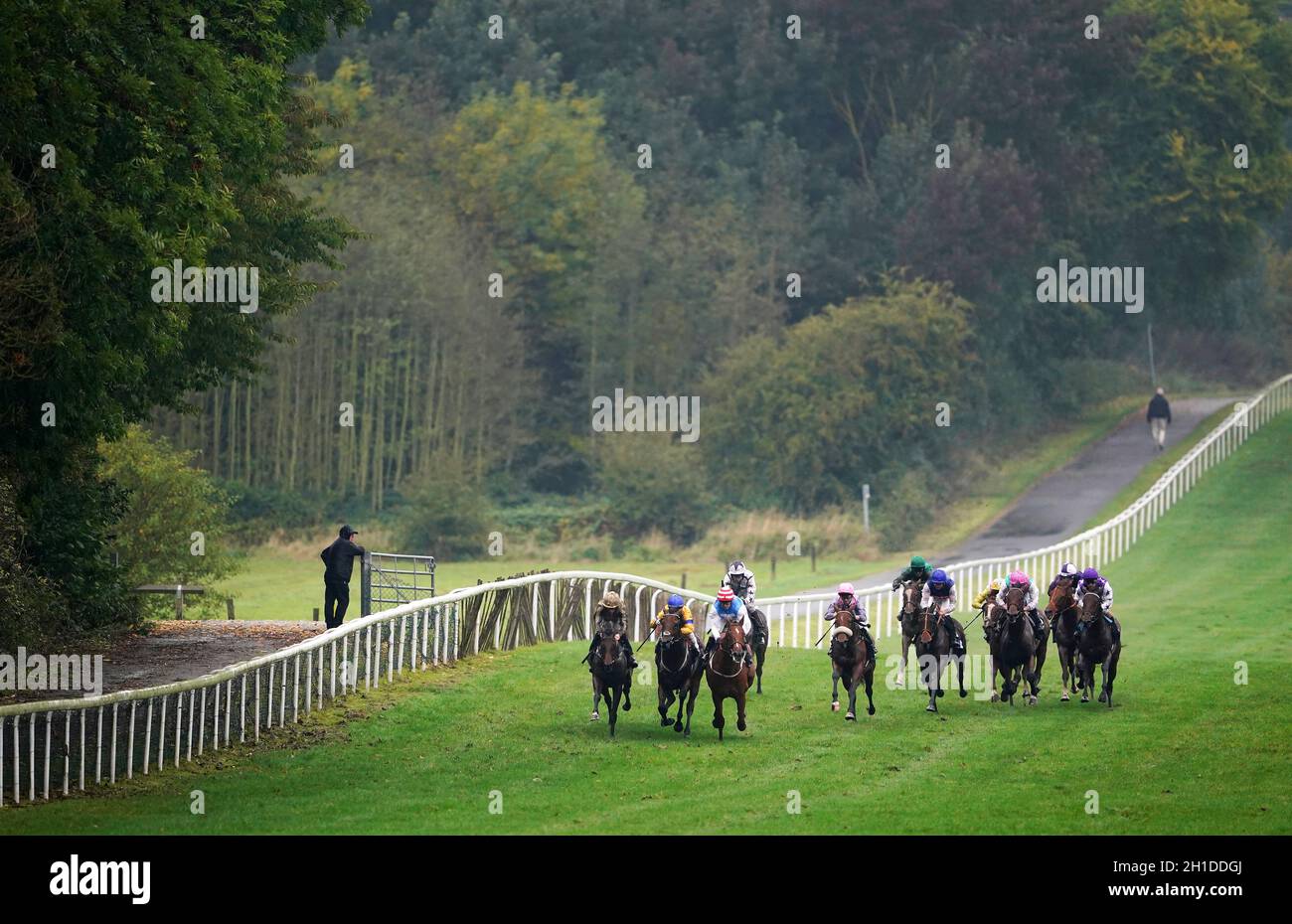 Silver stallion hi-res stock photography and images - Alamy