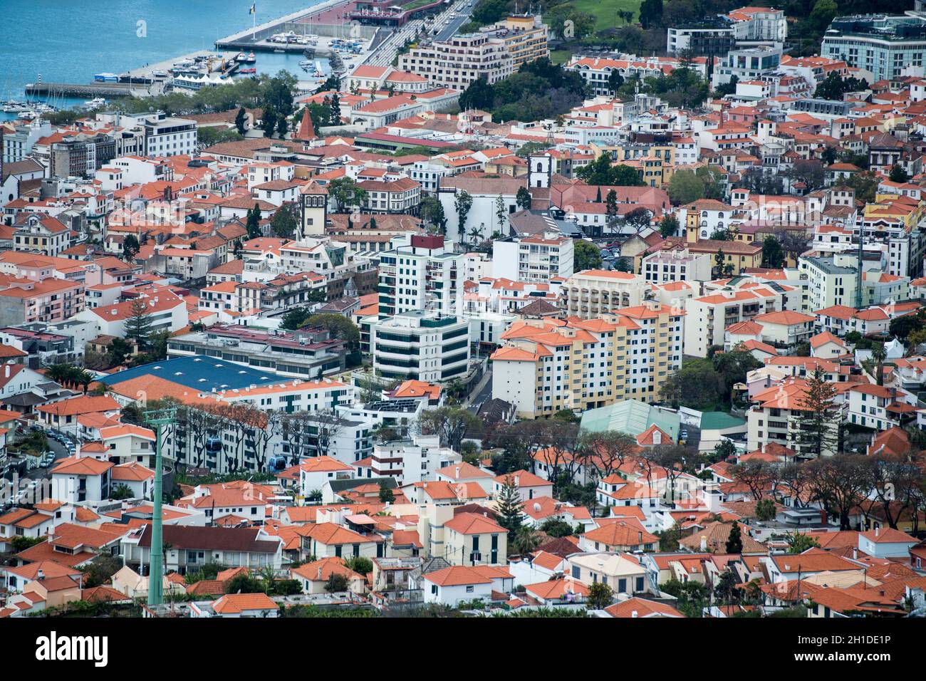 the city centre of Funchal at night on the Island Madeira of Portugal ...