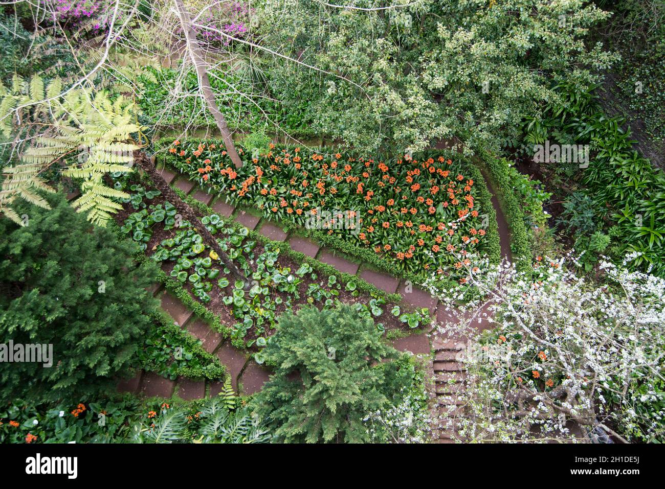 the Parque Municipal do Monte in the town of Monte north the city ...