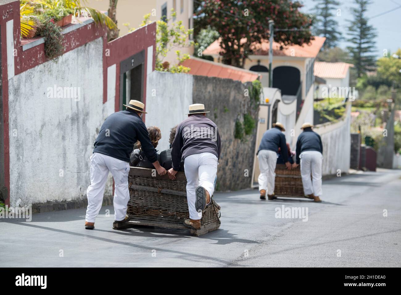 a traditional Monte sledge on the way from Monte to Funchal the city ...