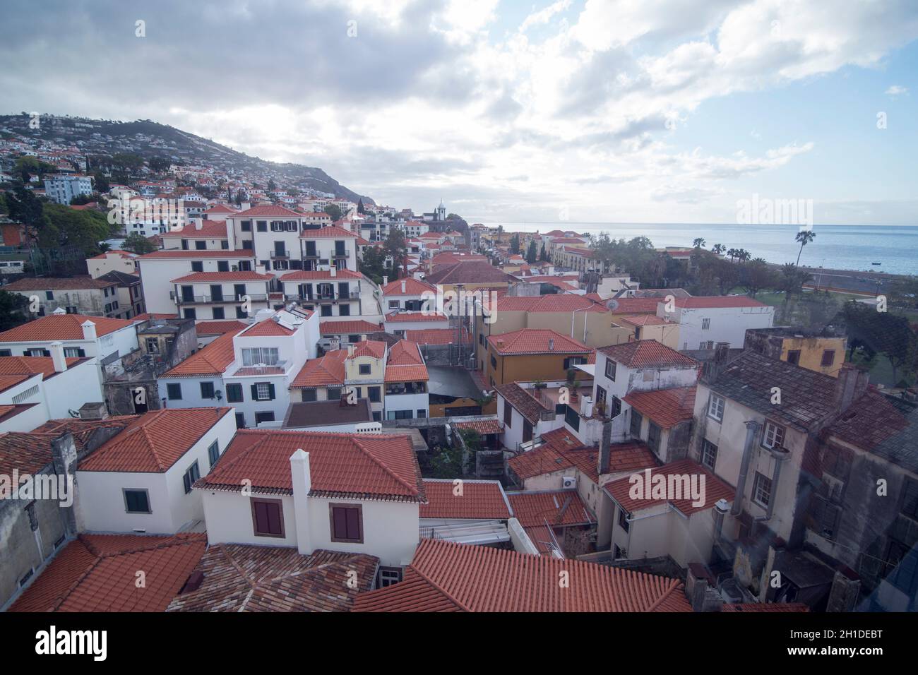 the city centre of Funchal at night on the Island Madeira of Portugal ...