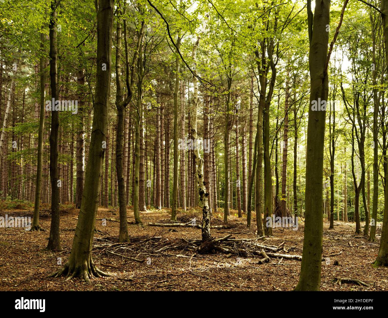 Sunbeam dam hi-res stock photography and images - Alamy