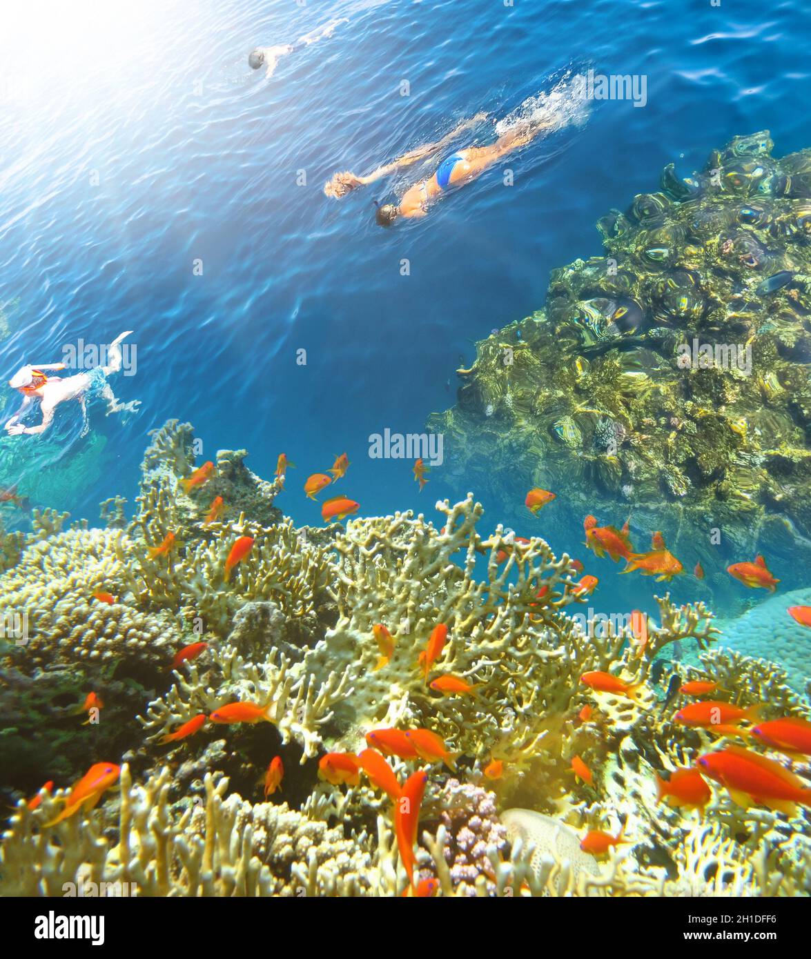 Coral pillars in the Red Sea, Egypt. The people snorkeling in blue ...