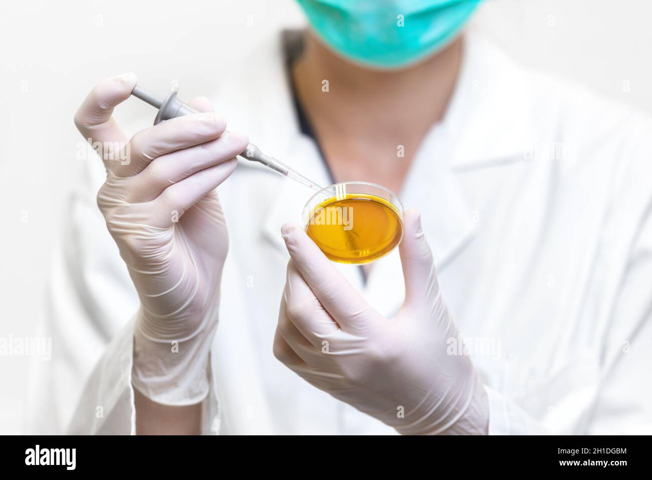 Close up view of scientist with Petri dish and pipette. Biological ...
