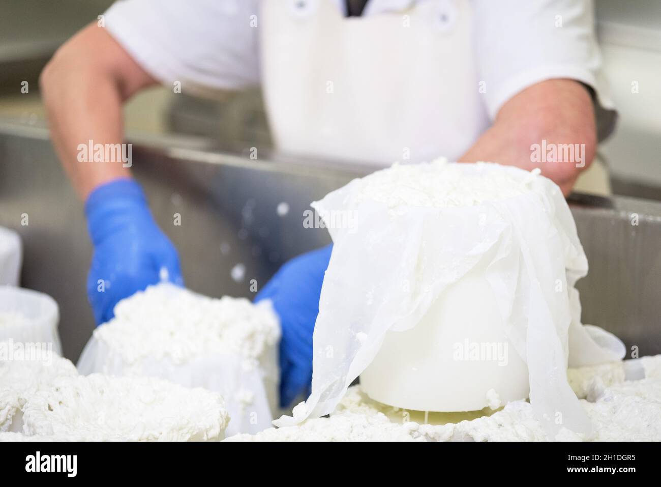 Man mixing raw cheese in the stainless tank during the fermentation ...