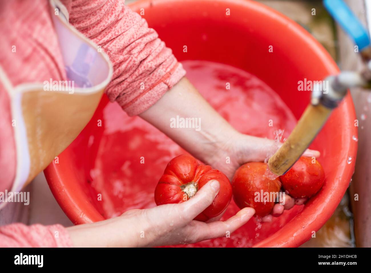 Cleaning tomatoes hi-res stock photography and images - Alamy