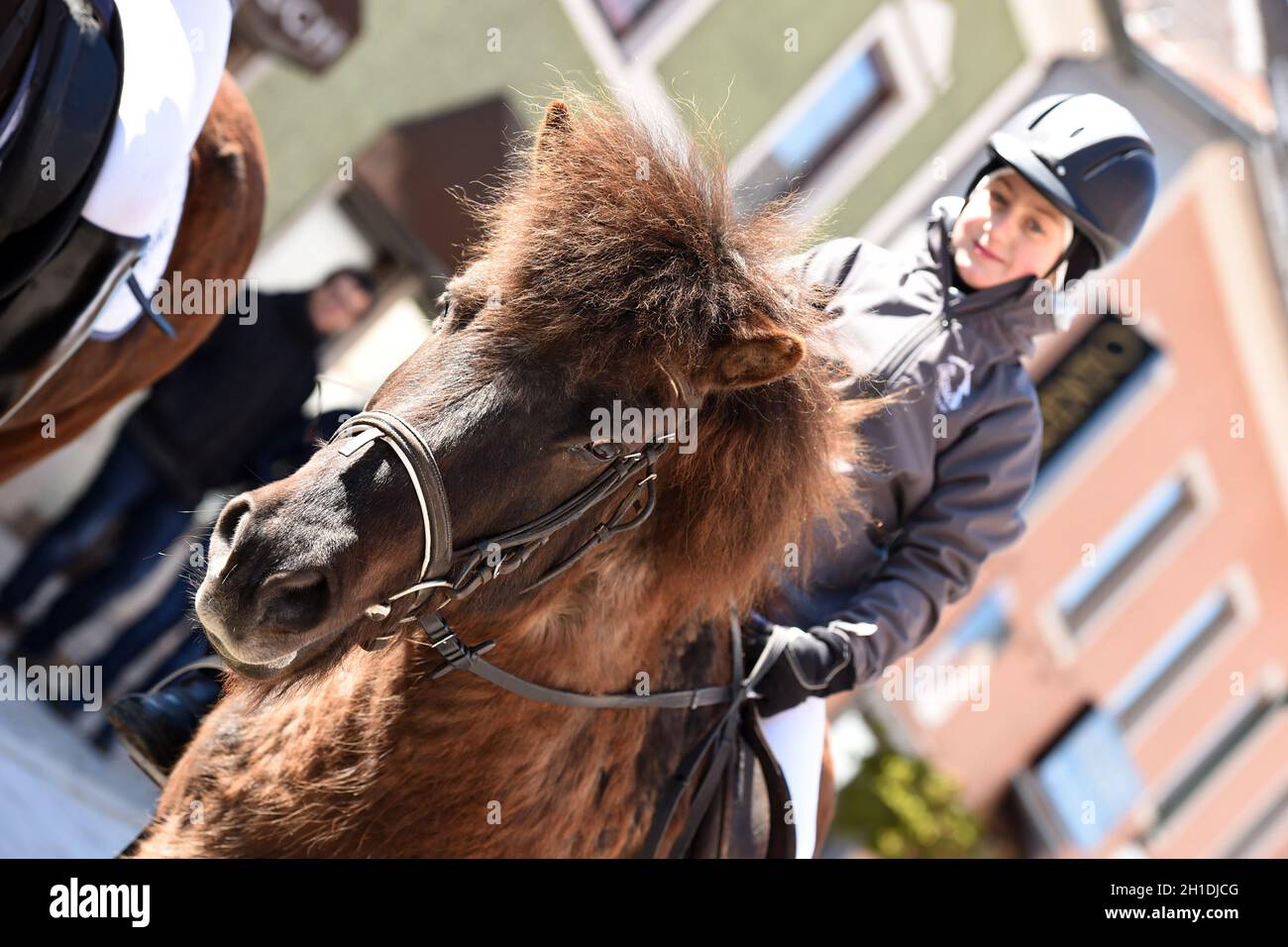 Georgi-Ritt in Wolfsegg (Bezirk Vöcklaruck) - Georgiritt ist die ...