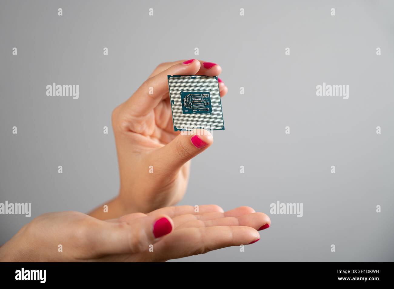 Woman's hand holding a processor Stock Photo - Alamy