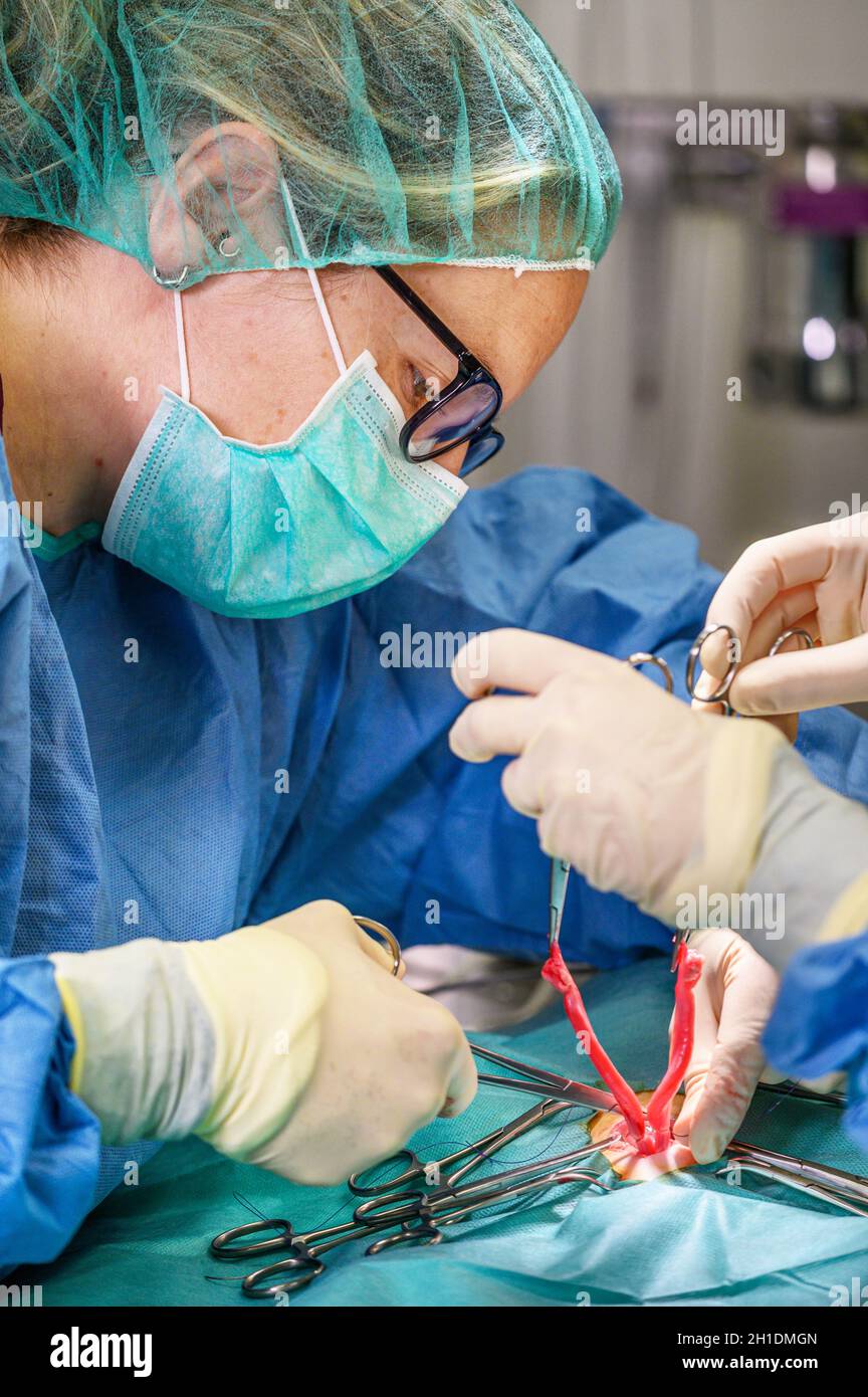 Female surgeon in operation room, operating a patient Stock Photo - Alamy