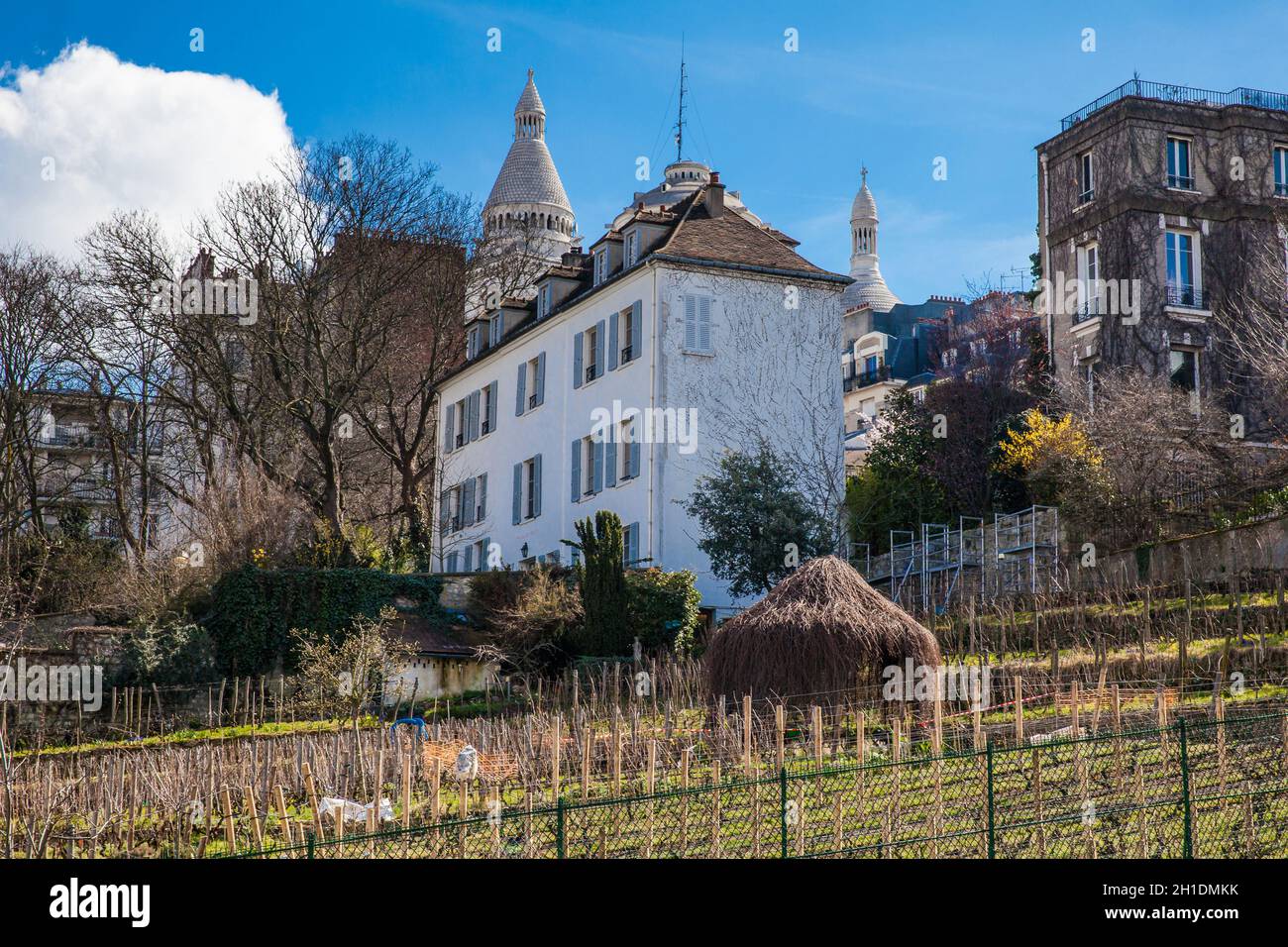PARIS, FRANCE - MARCH, 2018: Le Clos vineyard at the famous Montmartre ...