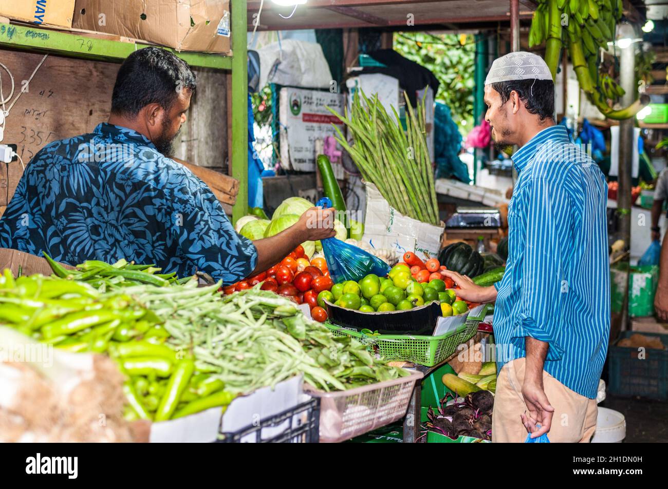 Tropical Fruits In Maldives Island High Resolution Stock Photography ...