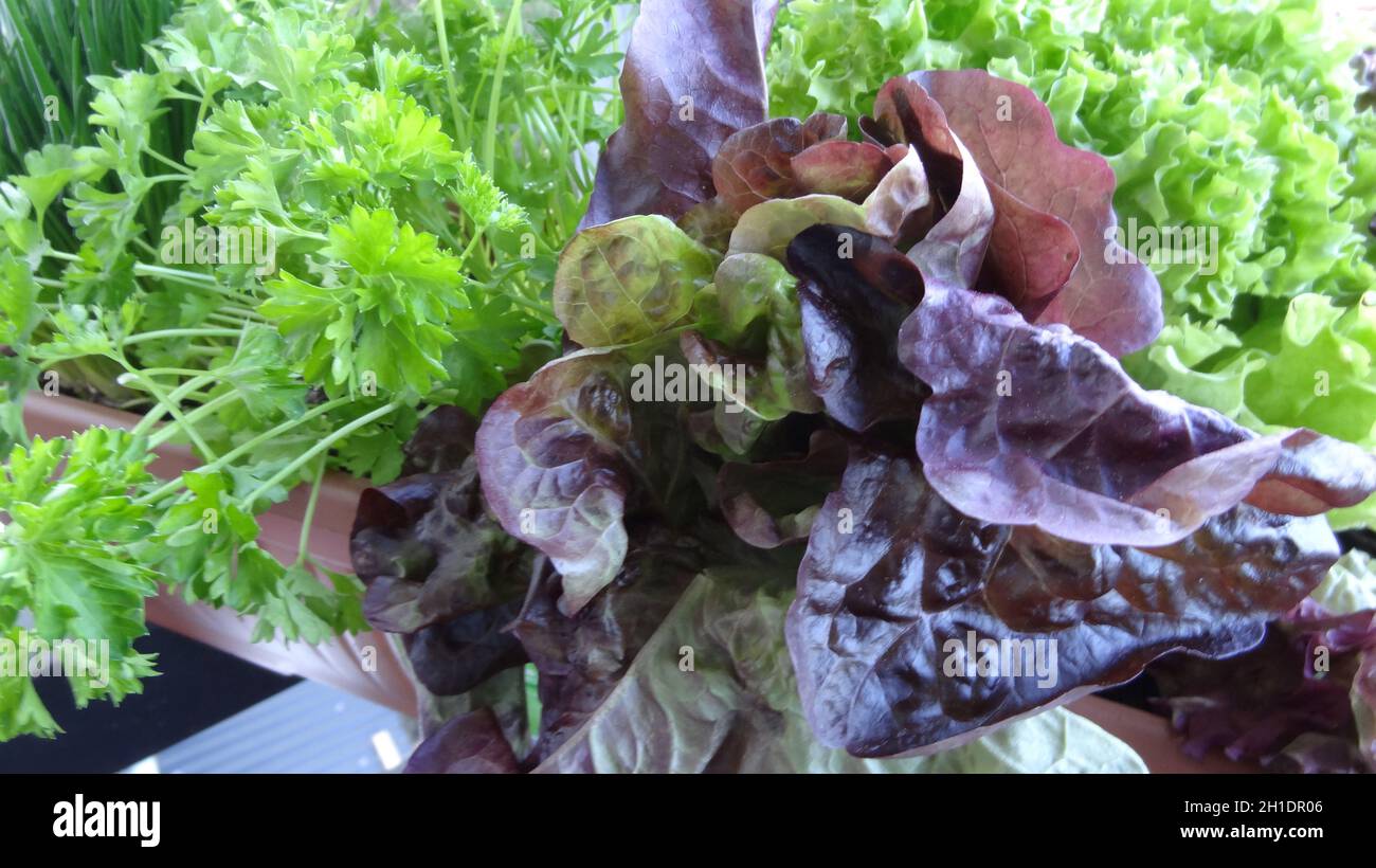 Essen und trinken hi-res stock photography and images - Alamy