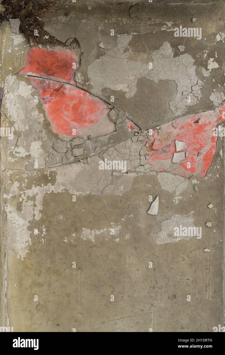 Damaged Plaster texture, cracked texture with fine detail High ...