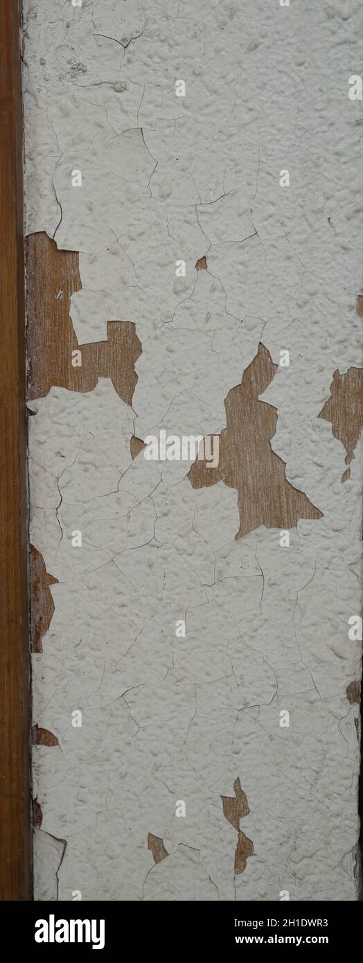Damaged Plaster texture, cracked texture with fine detail High ...