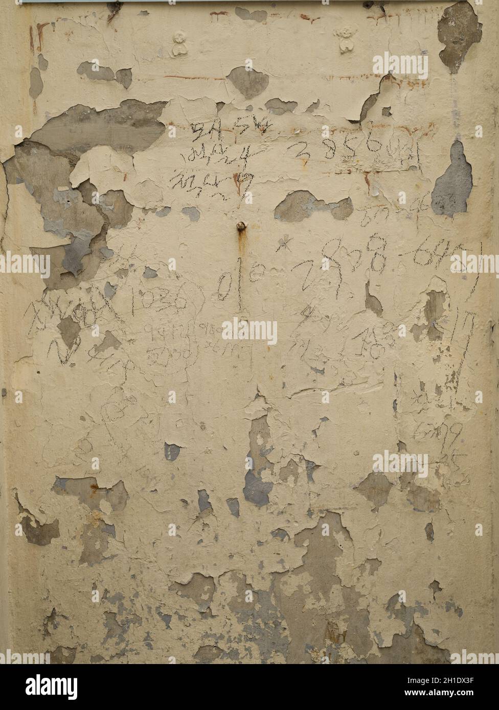 Damaged Plaster texture, cracked texture with fine detail High ...