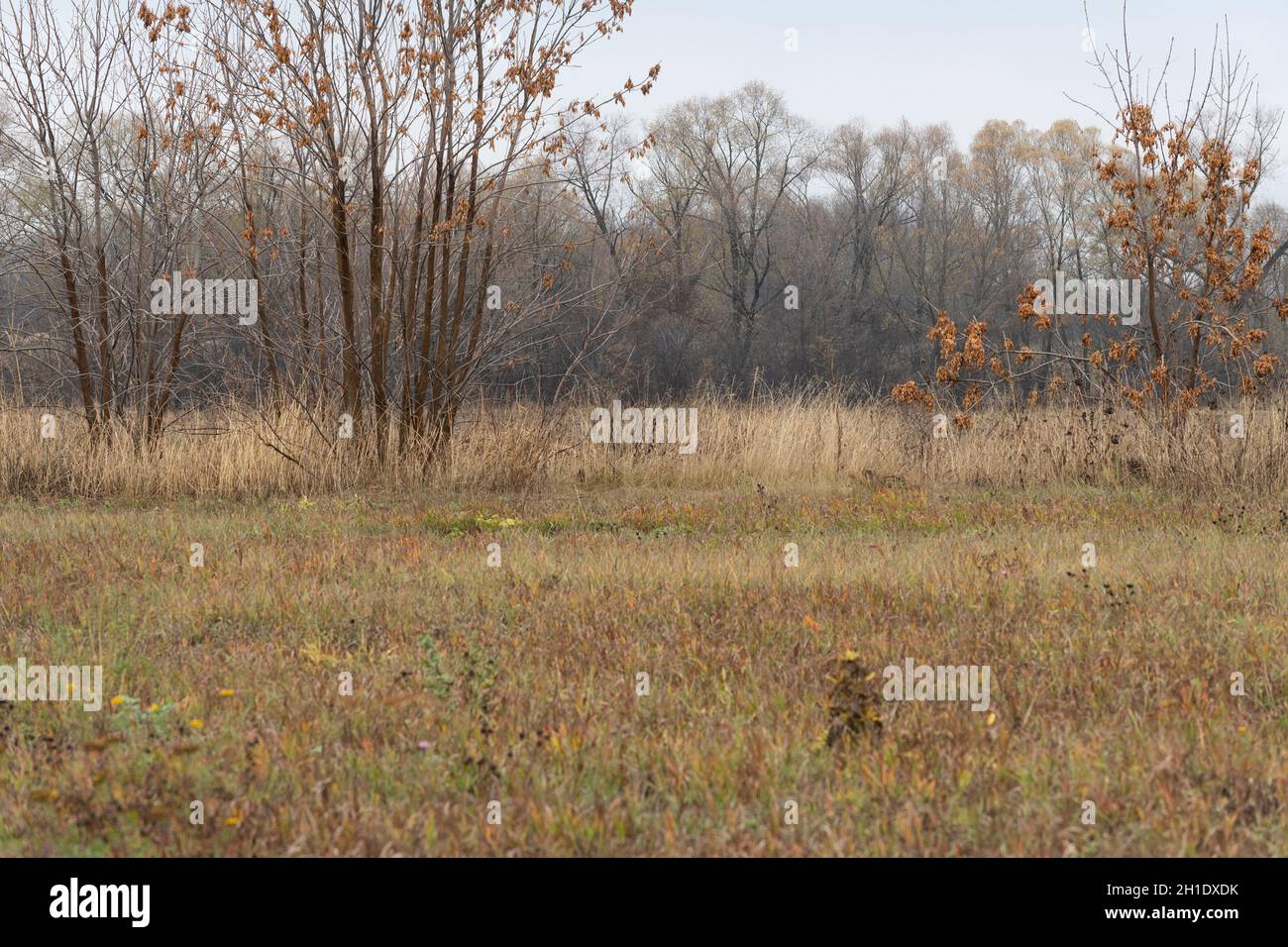 Autumn in russia hi-res stock photography and images - Alamy