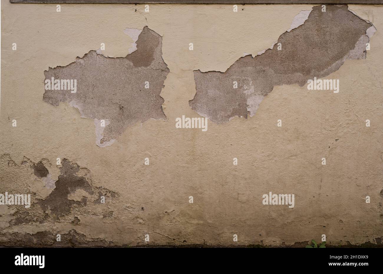 Damaged Plaster texture, cracked texture with fine detail High ...