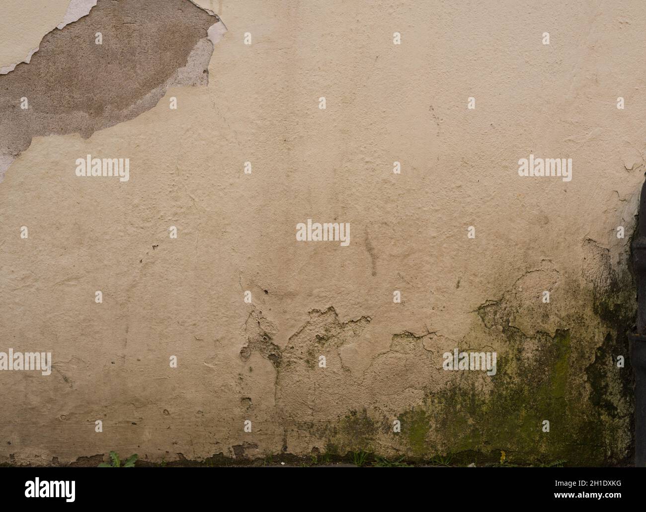 Damaged Plaster texture, cracked texture with fine detail High ...