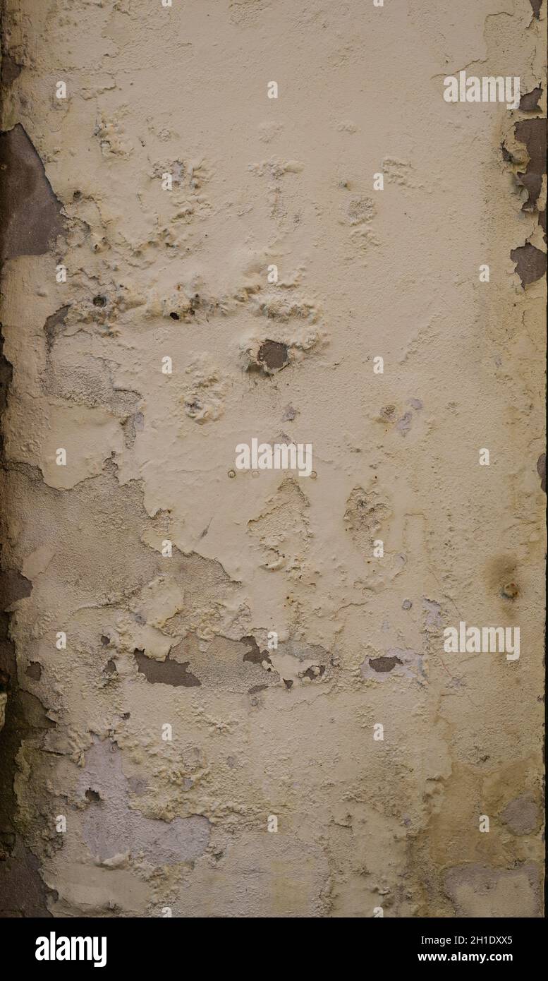 Damaged Plaster texture, cracked texture with fine detail High ...