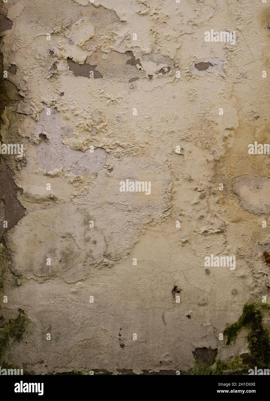 Damaged Plaster texture, cracked texture with fine detail High ...