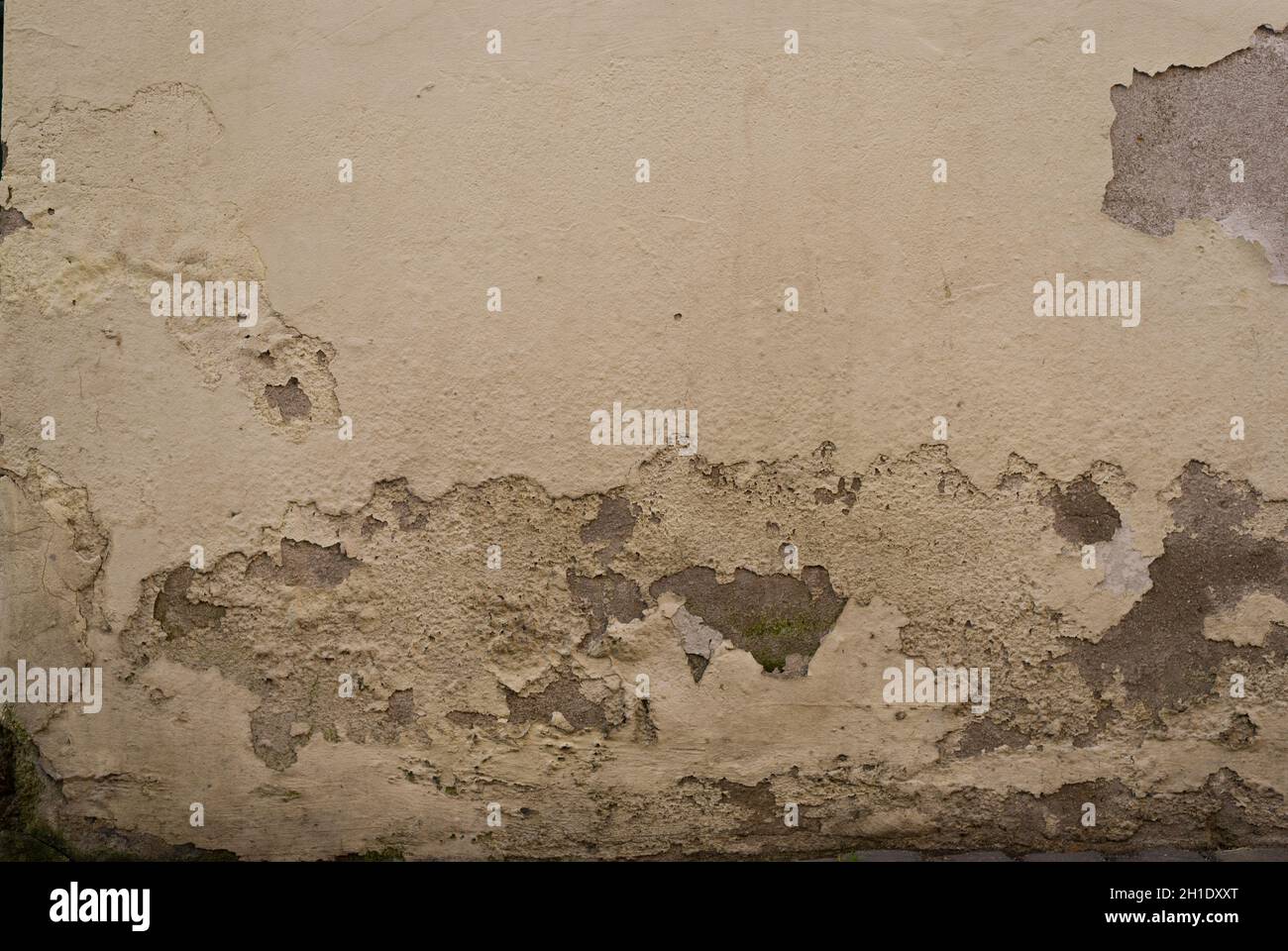 Damaged Plaster texture, cracked texture with fine detail High ...